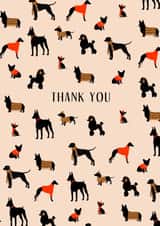 thortful | Send The Perfect Greeting Card | Order Online & It's Sent ...