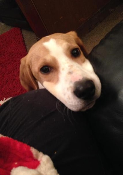 MALE FEMALE Card 24855 | thortful