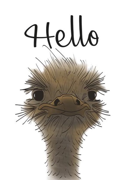 Funny Emu Card 32221 | thortful