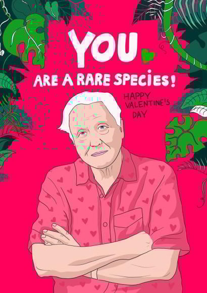 Funny Valentines Day Card - David Attenborough - You Are A Rare Species ...