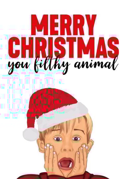 Merry Christmas You Filthy Animal - Classic - Christmas Movie - Home ...