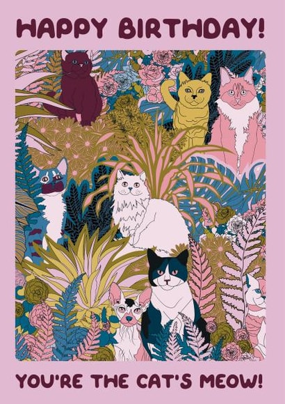 cat cat lover Birthday Card 20042 | thortful