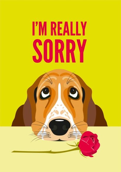 dog basset hound Sorry Card 16829 | thortful