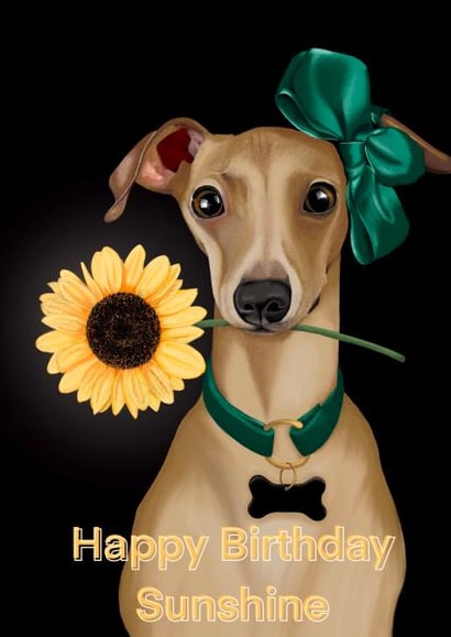 Italian Greyhound Birthday Card | thortful