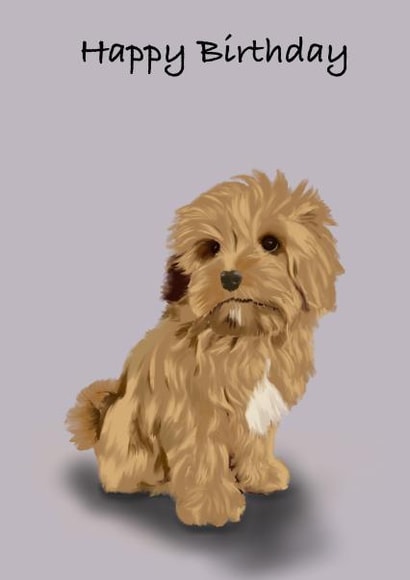 Cute Cavapoo Birthday Card 1000 | thortful