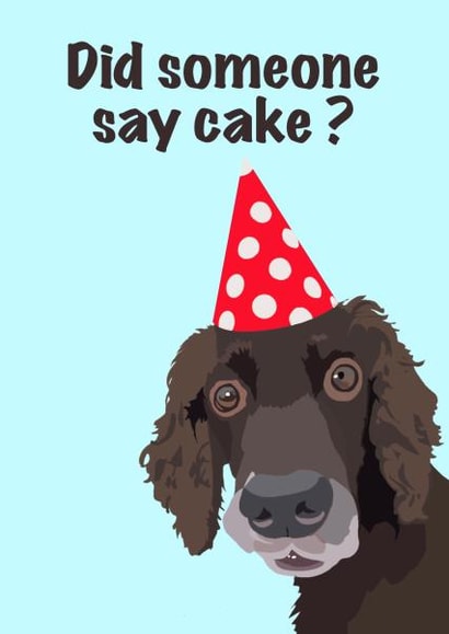 Cute Birthday Card - Spaniel - From the Dog - Did Someone Say Cake ...
