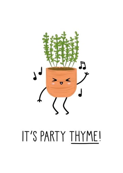 Party Thyme Birthday Plant | thortful