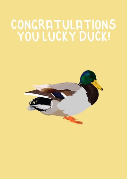 You lucky duck | thortful