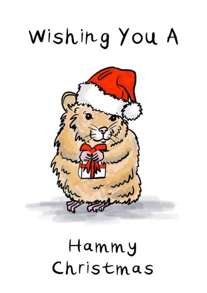 Wishing You A Hammy Christmas | thortful