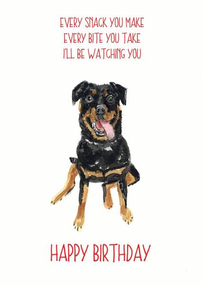 Happy Birthday Rottweiler Memes Happy Birthday Rottweiler Stickers For