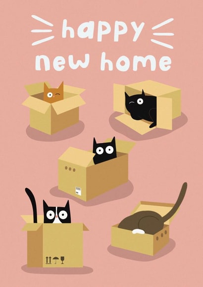 Cute Cats in Boxes New Home Card | thortful