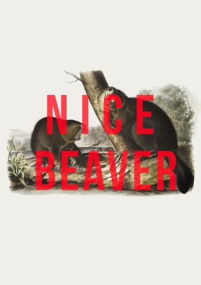 Nice Beaver! A cheeky pun to show appreciation for your fave beaver ...
