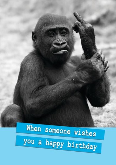 Funny Birthday Card - Monkey - Middle Finger | thortful