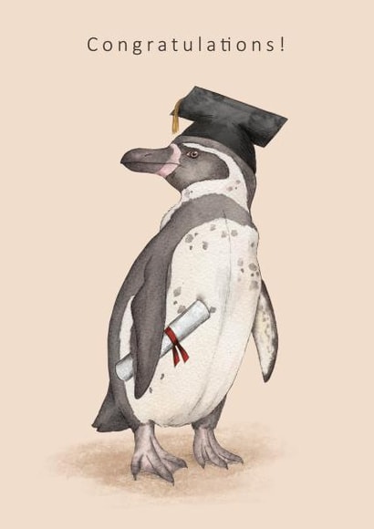 Illustrative Graduation Card - Penguin - Congratulations | thortful