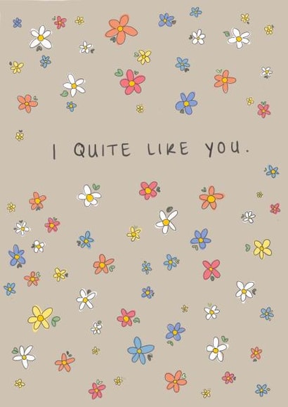 Cute and Romantic Valentines Love Card - I Quite Like You | thortful