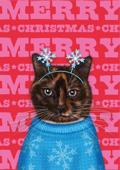 Cute Christmas Card – Tortoiseshell Cat | thortful