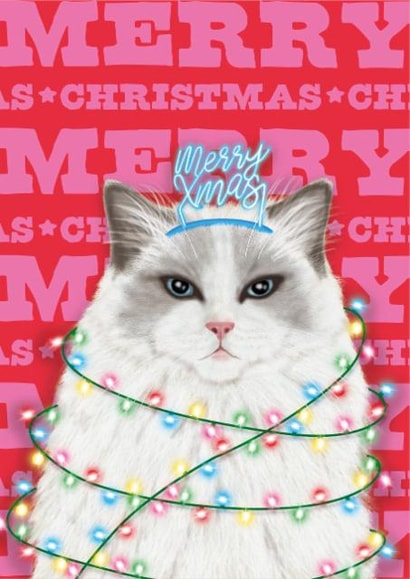 Cute Christmas Card – Ragdoll Cat | thortful