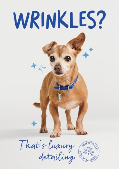 Cheeky Birthday Card - Wrinkles? - Battersea Cats & Dogs Home Charity ...