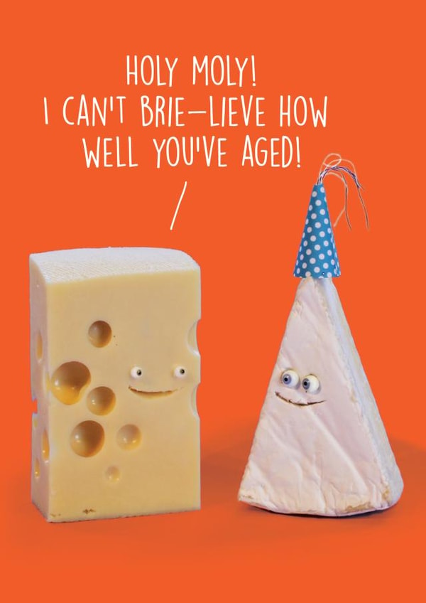 birthday cheese Birthday Card 6912 | thortful