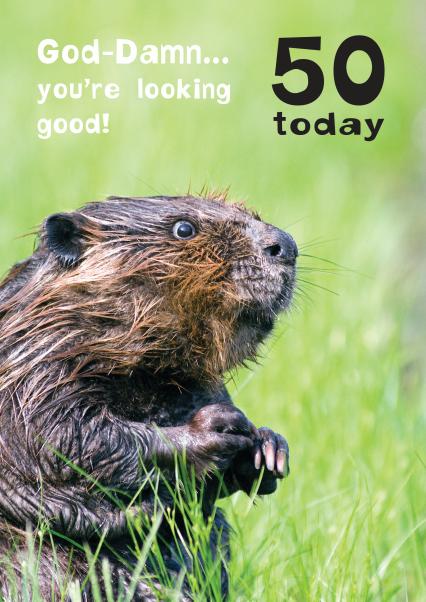Damn beaver Birthday Card 3206 | thortful