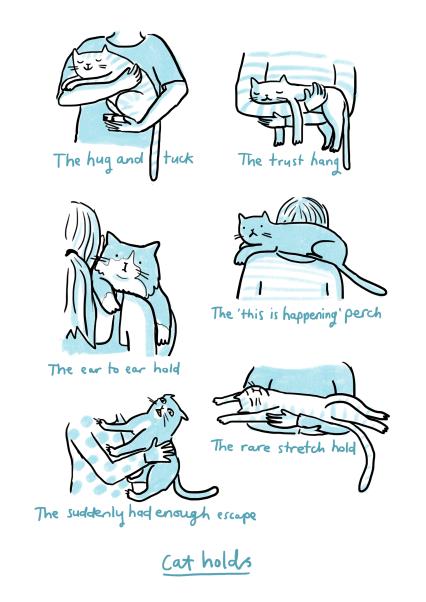 Cat related card for cat lovers - favourite cat holds | thortful