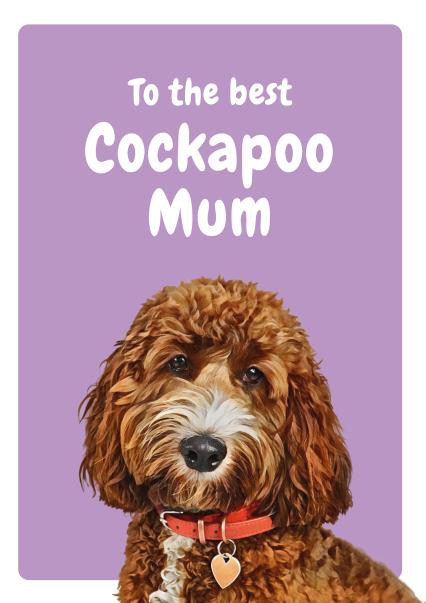 Cute Mothers Day Card - From The Dog - Cockapoo - To The Best Cockapoo ...