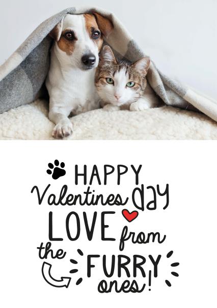 CuteDog & Cat Personalised Valentines Day Card / Photo Card - Happy ...