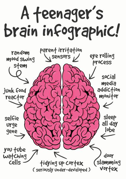 teenager brain infographic Birthday Card 21761 | thortful