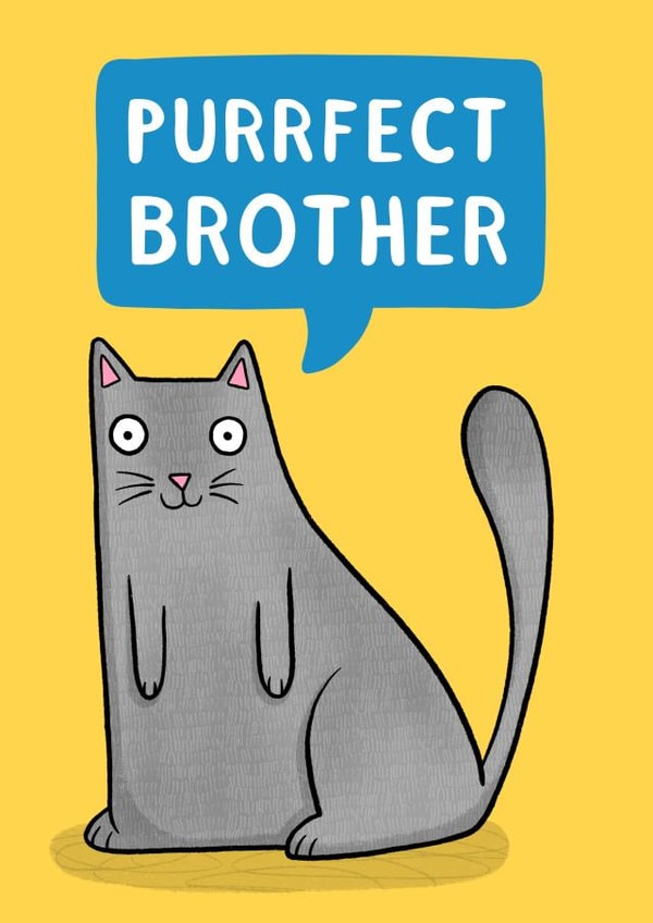 Purrfect Brother | thortful