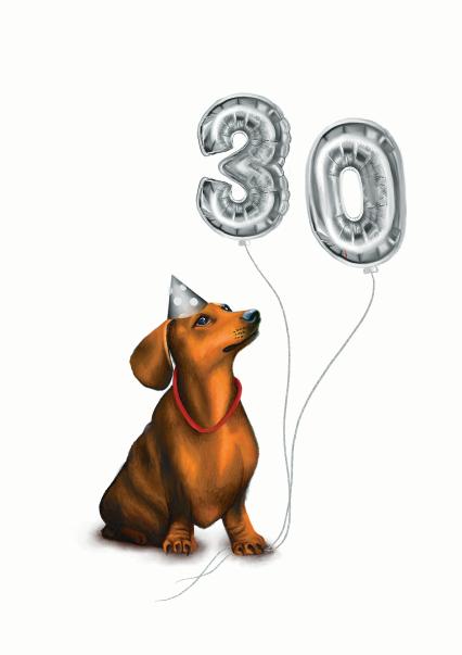 Sausage dog 30th birthday card | thortful