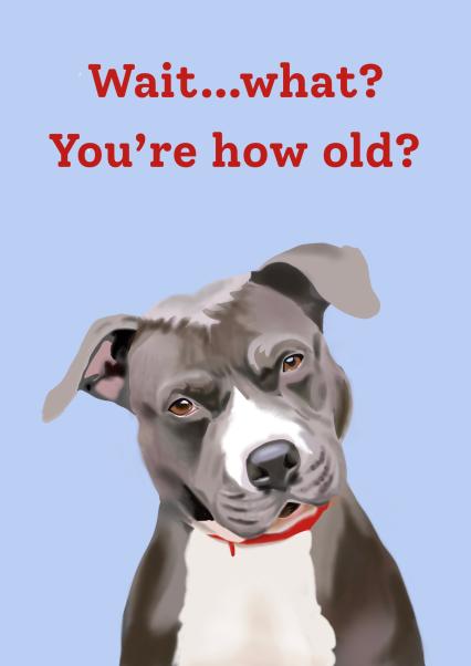 Wait…what?You’re how old? Staffy Birthday Card | thortful