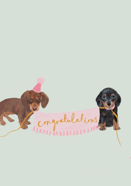 Sausage Dogs Congratulations Celebration Dachshund Card | thortful