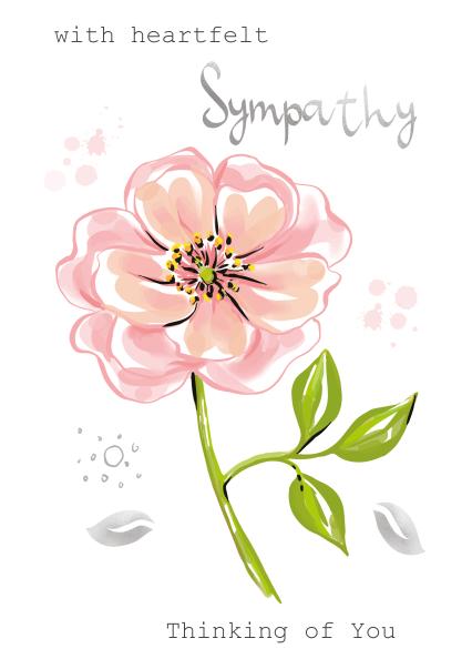 Sympathy Pink Rose Card | thortful