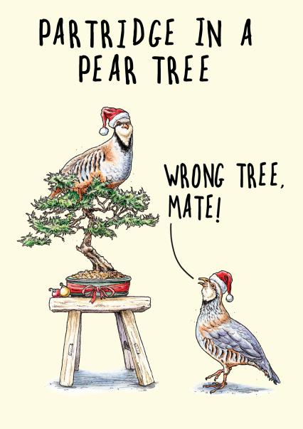 Partridge In A Pear Tree Christmas Card | thortful