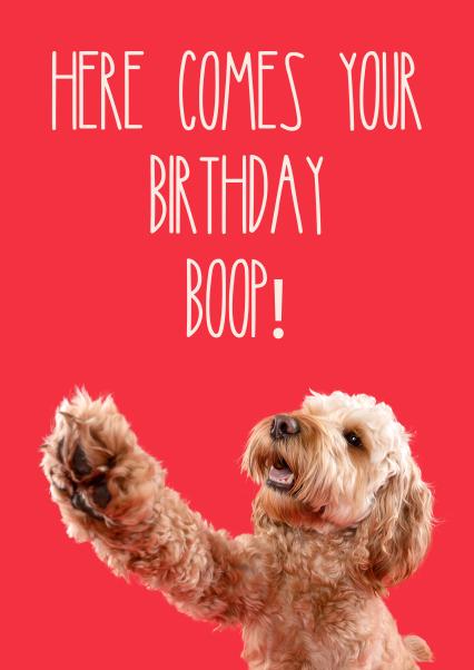 Birthday Boop Cockapoo Dog Card 1001 | thortful