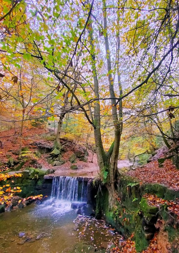 Autumn waterfall peace and quiet in nature | thortful