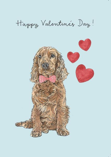 Cocker Spaniel Valentine's Day Card | thortful