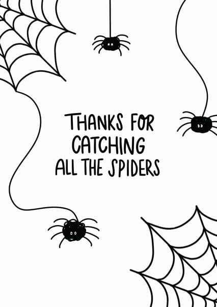 Thanks for catching spiders | thortful