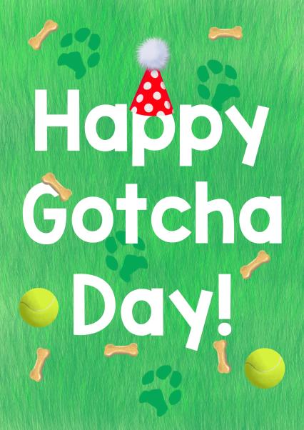 Happy Gotcha Day! Birthday dog- Happy Got Ya day - Tennis ball - dog ...