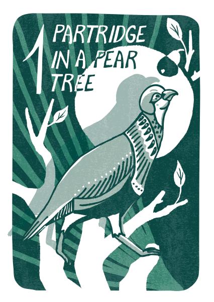 "Partridge in a pear tree" Fun Christmas card from 12 Days of Christmas ...