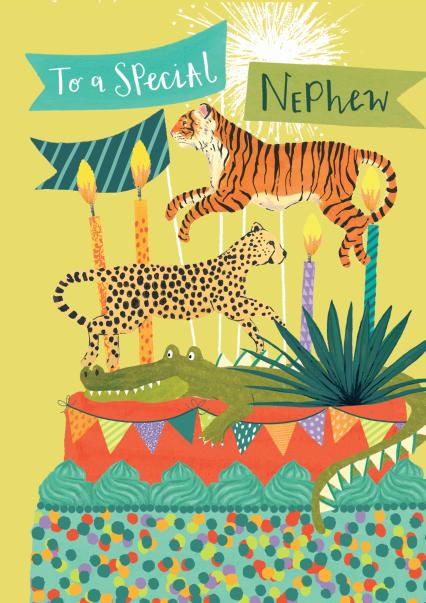 Fun Birthday card for Nephew - Animal Birthday Cake - To A Special ...