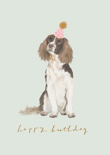 Cute Springer Spaniel Birthday Card For Dog Lovers | thortful
