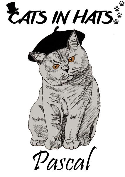 Cats In Hats Pascal Cute Pet Card | thortful