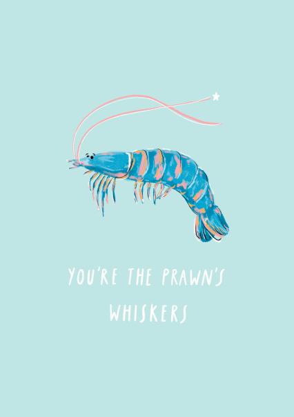 You're the Prawn's Whiskers - Birthday/Anniversary/Thank You/Love ...