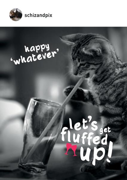 Funny cat themed multi-purpose card for any occasion. Let's get fluffed ...