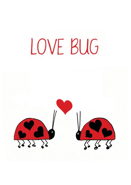 valentines day love bug love you insect complete me ladybird ...