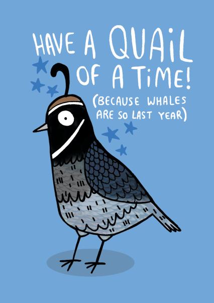 Funny Birthday Card - Have a Quail of a time! | thortful