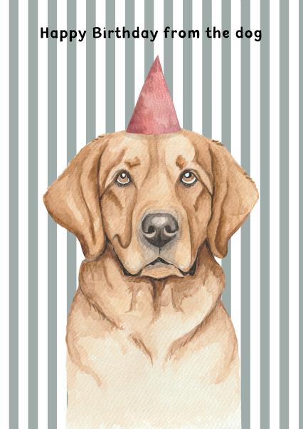 Cute Birthday Card - From The Dog - Golden Labrador - Party Hat | thortful